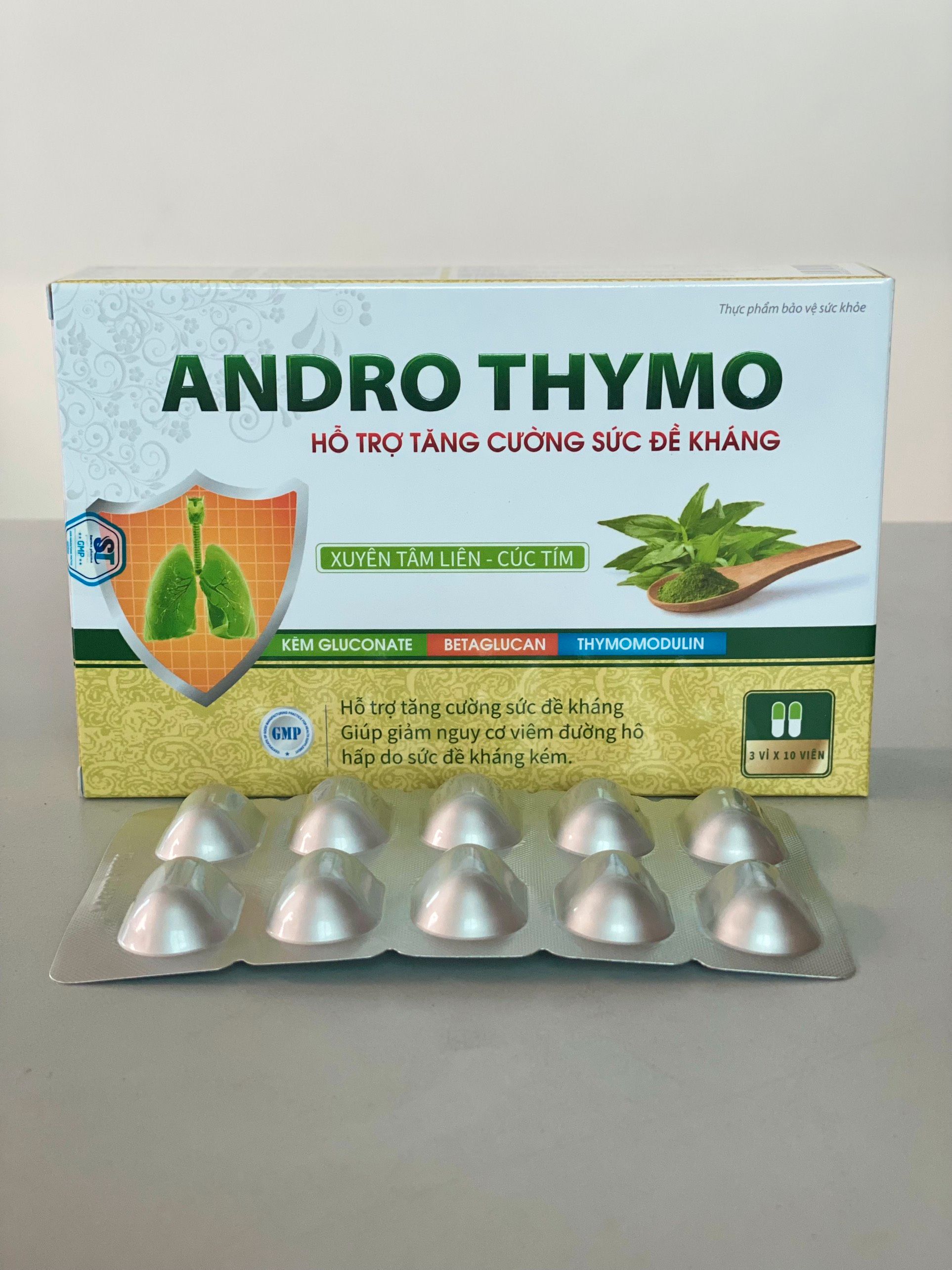 8938539234042 - Thực phẩm bảo vệ sức khoẻ ANDRO THYMO